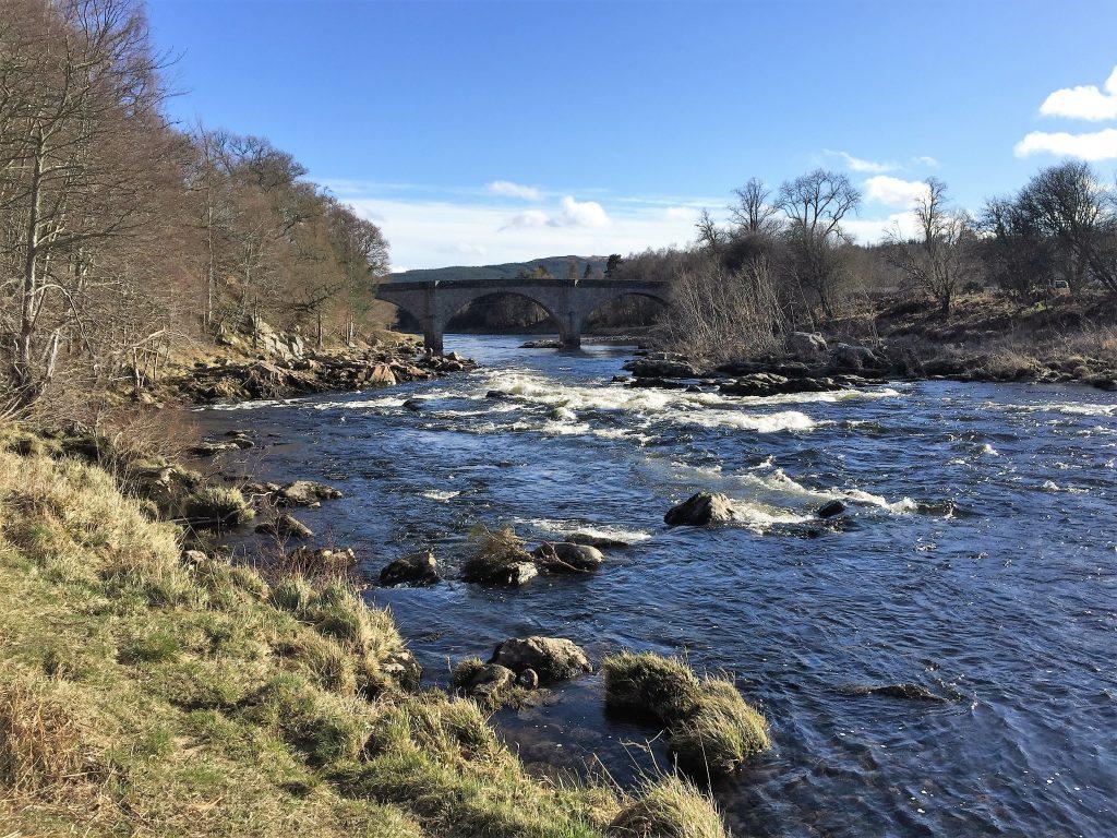 Wildlife Tour Scotland - Four Seasons Campers Luxury Campervans