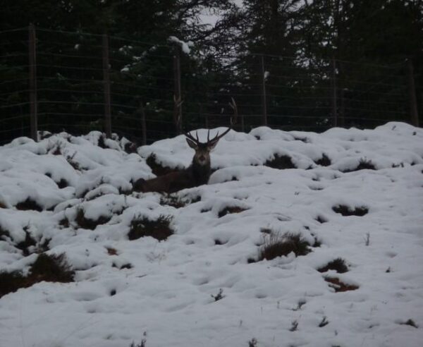North Coast 500 Campervan Hire | NC500 Winter Tour Guide