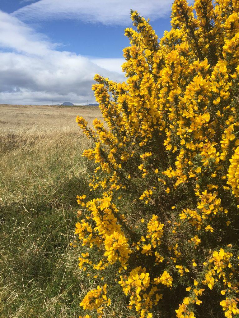 10 Reasons why May is a great time to visit Scotland