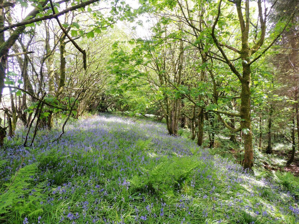 10 Reasons why May is a great time to visit Scotland