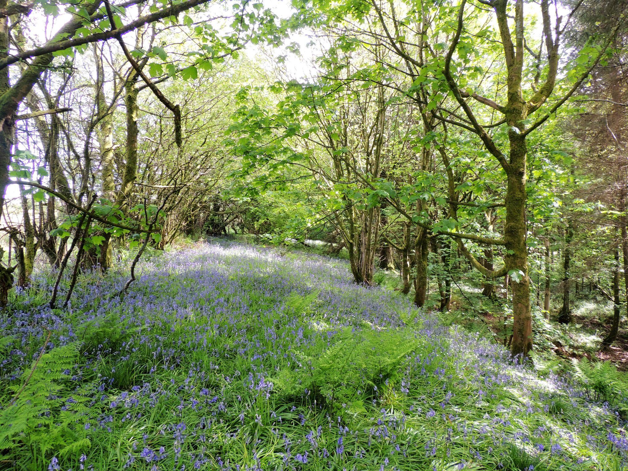 10 Reasons why May is a great time to visit Scotland