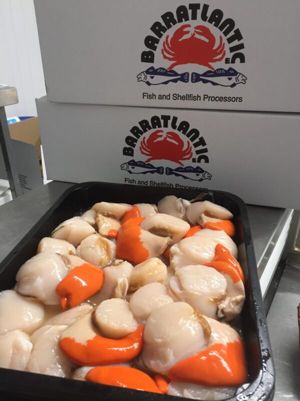 Outer Hebrides campervan road trip - stage 1 - Barra and Vatersay